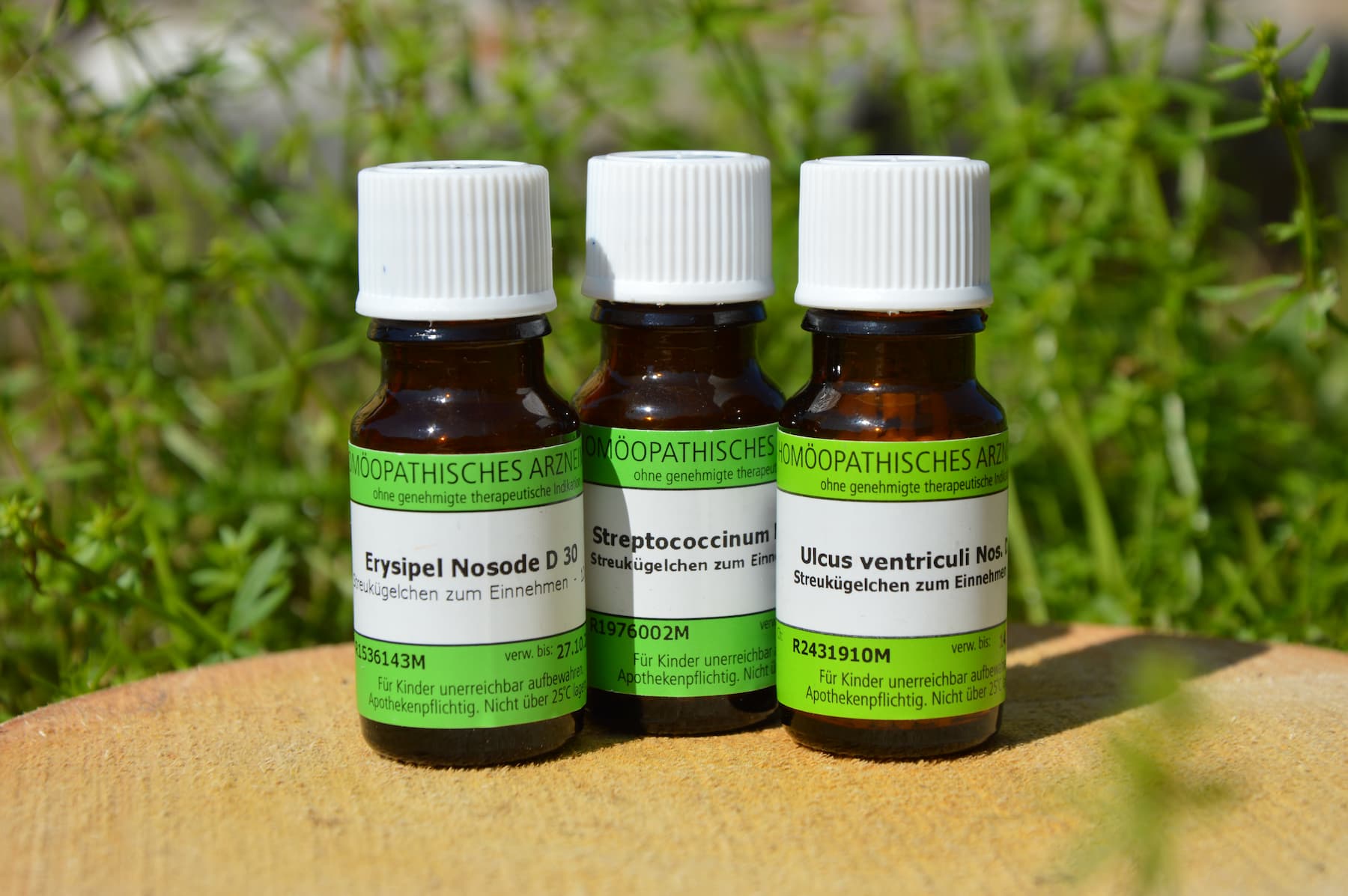 Nosoden Therapie - praxis-hasler.com